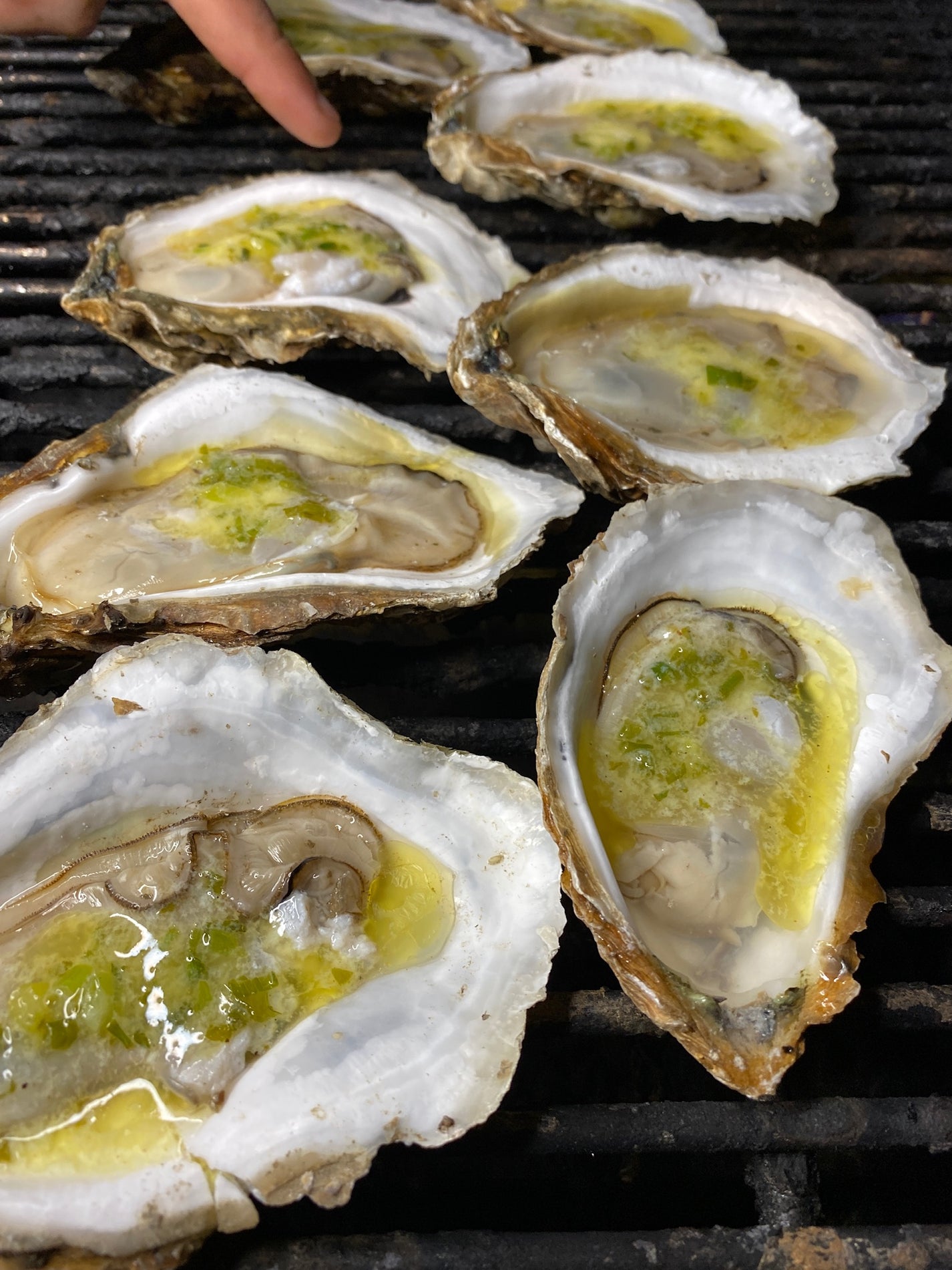 The Weekender (100 Oysters) – Peeko Oysters